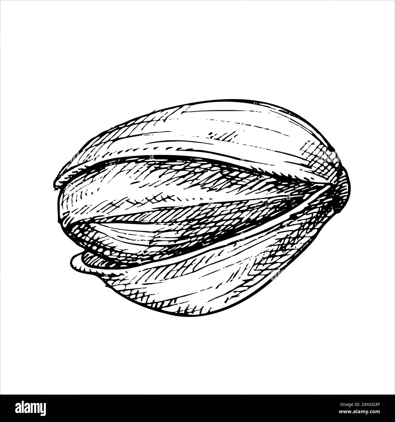 Pistachio illustration Black and White Stock Photos & Images - Alamy
