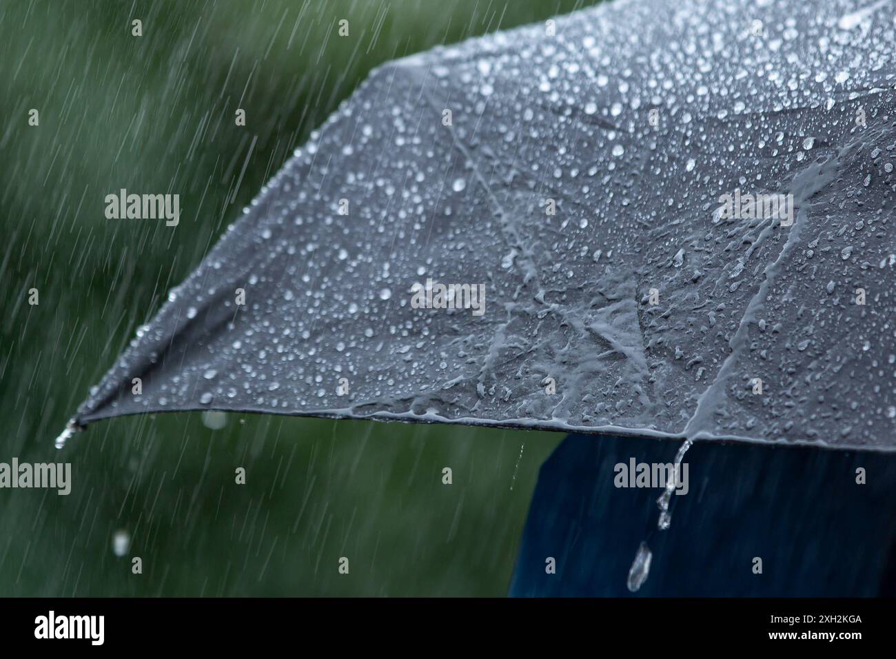 Close up view of heavy rain falling on to a black brolly / umbrella ...