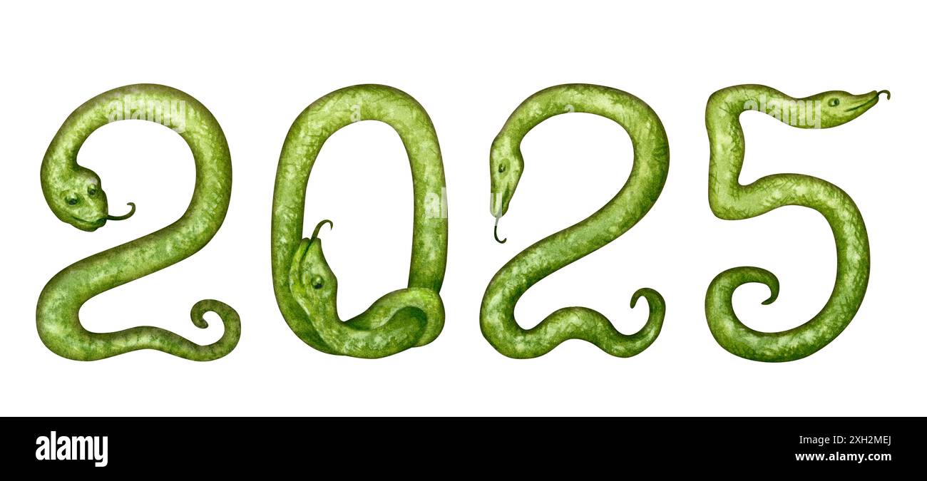 Number 2025 in the form of a green snakes as a symbol of Happy Chinese ...
