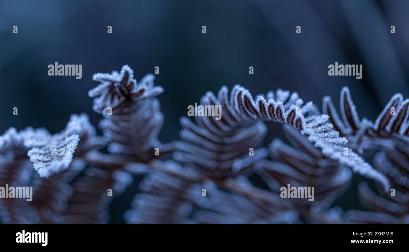 Selective focus horizontal hi-res stock photography and images - Alamy
