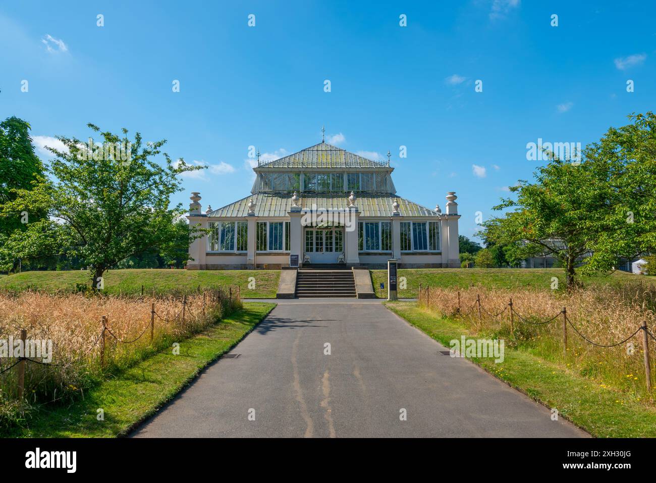 Temperate house, Royal Kew Gardens in bloom Stock Photo - Alamy