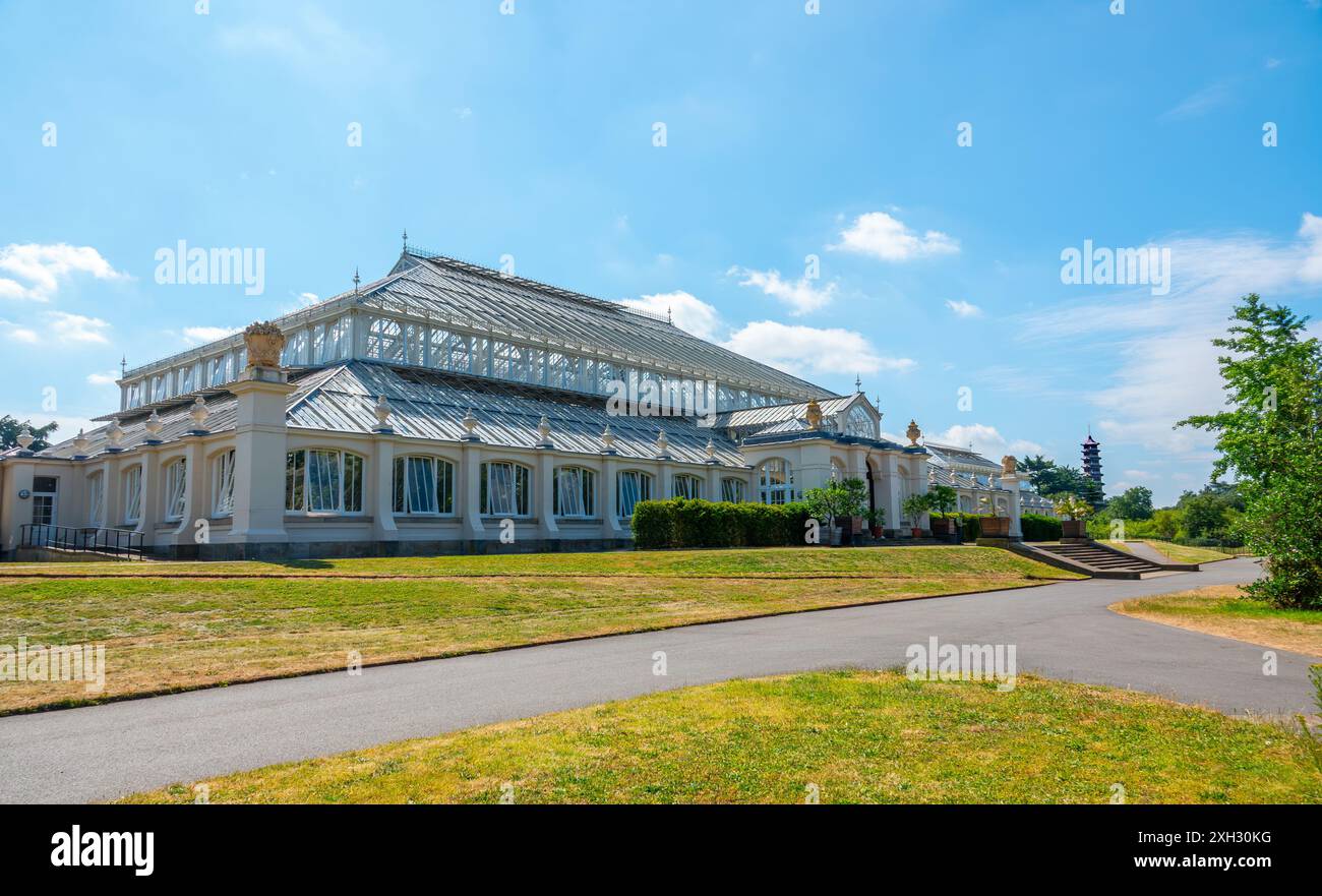 Temperate house, Royal Kew Gardens in bloom Stock Photo - Alamy