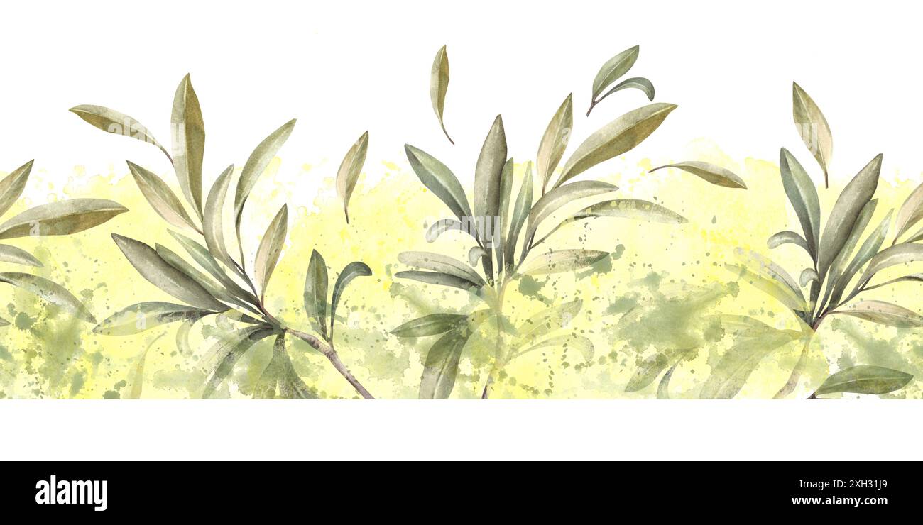 Olive tree branch, without fruit with green leaves on watercolor stains ...