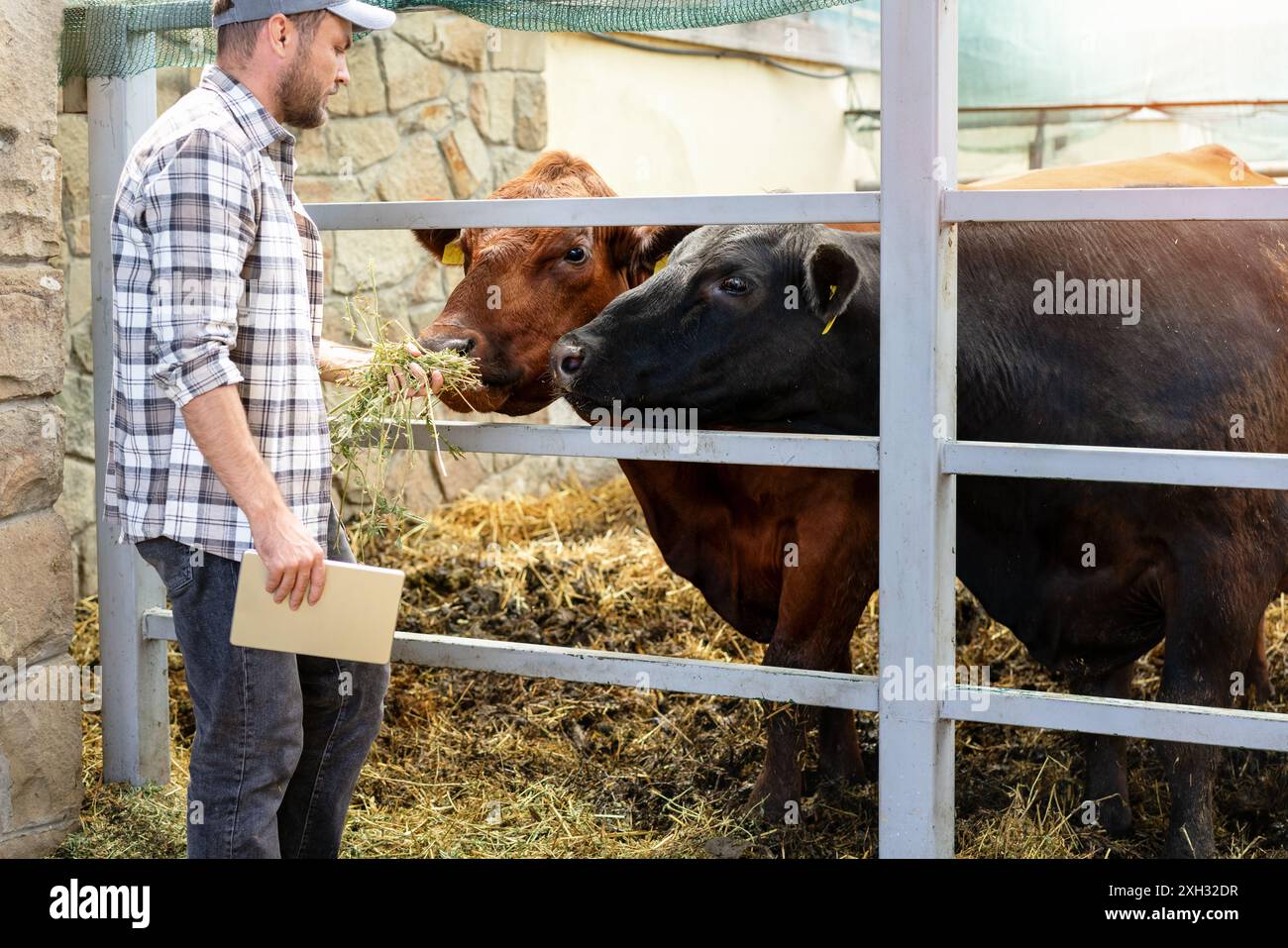 Farmer in plaid shirt hi-res stock photography and images - Alamy
