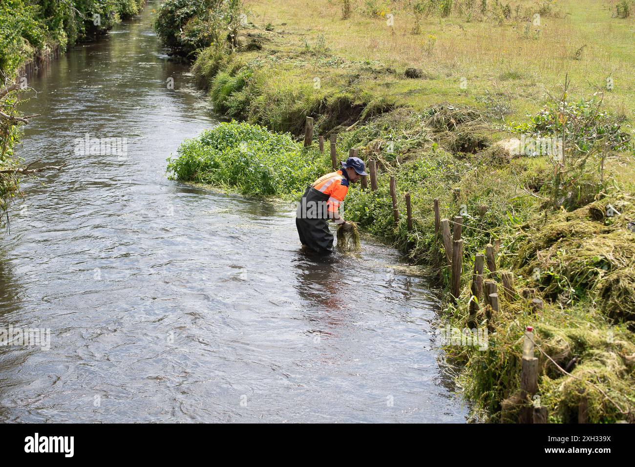 Weed reduction hi-res stock photography and images - Alamy