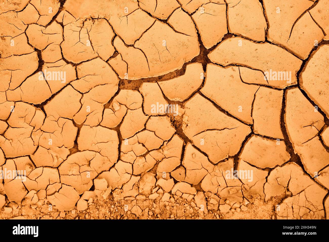 Cracked Earth. An arid landscape with cracked, dry earth patterns in a ...