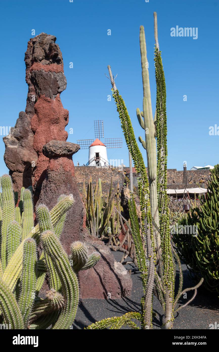 Cactus Garden, created by Cesar Manrique. Various shapes, colors and ...