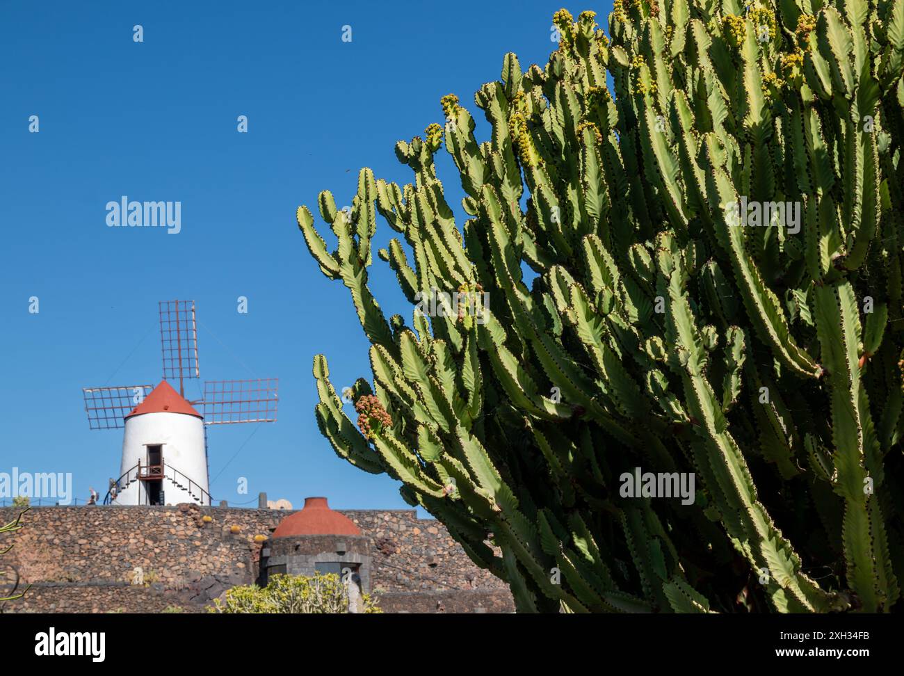 Cactus Garden, created by Cesar Manrique. Various shapes, colors and ...