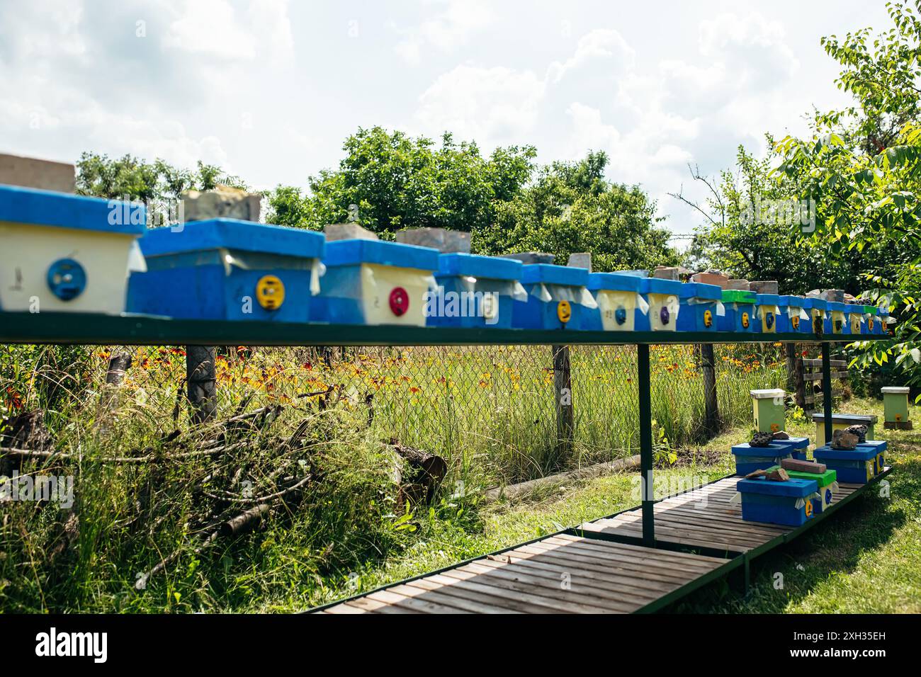 To hive a swarm, to make increase from a colony, make up a nucleus ...