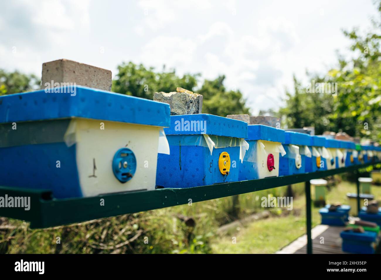 To hive a swarm, to make increase from a colony, make up a nucleus ...