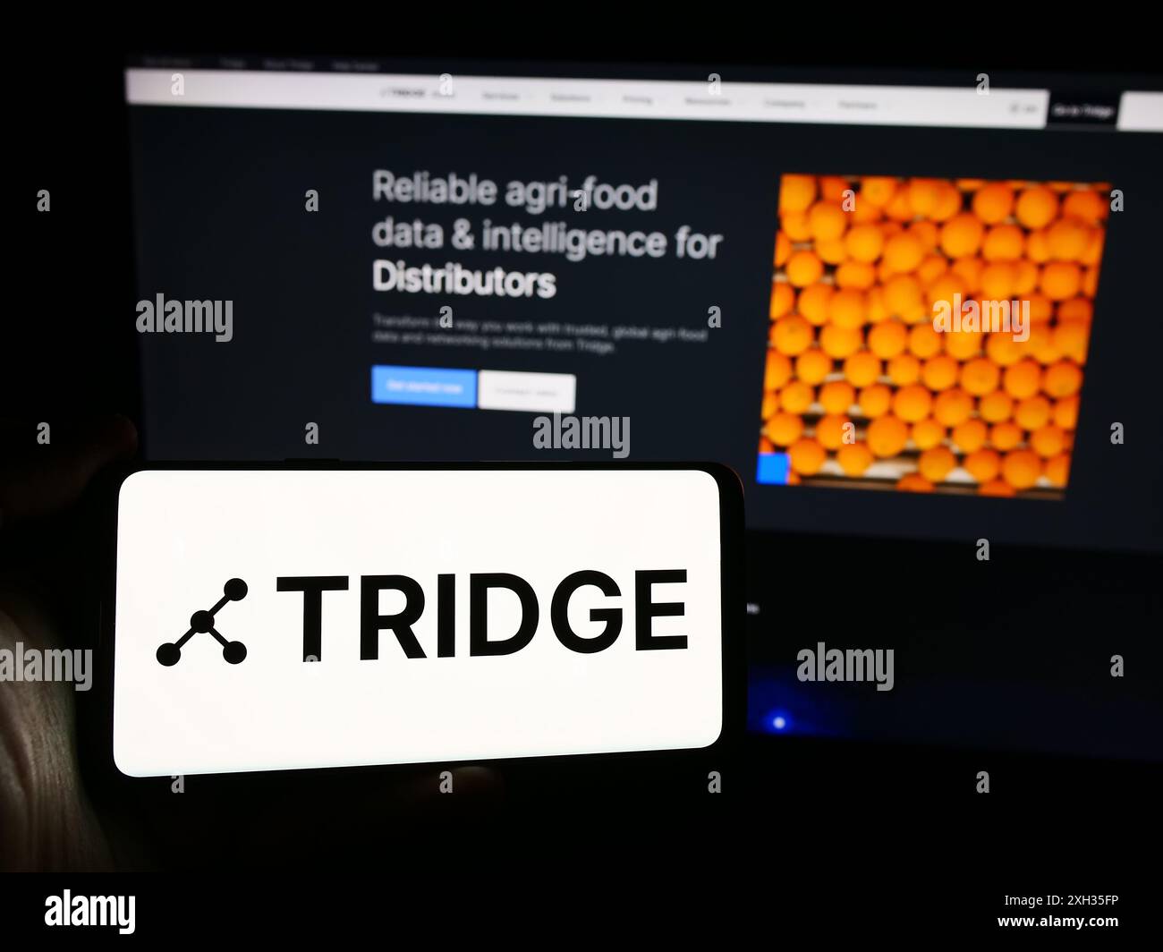 Tridge logo hi-res stock photography and images - Alamy