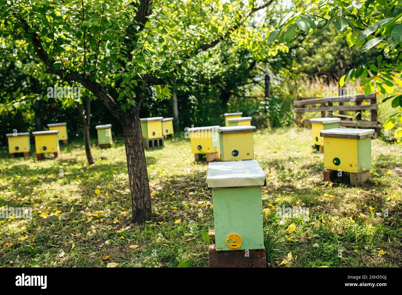 To hive a swarm, to make increase from a colony, make up a nucleus ...