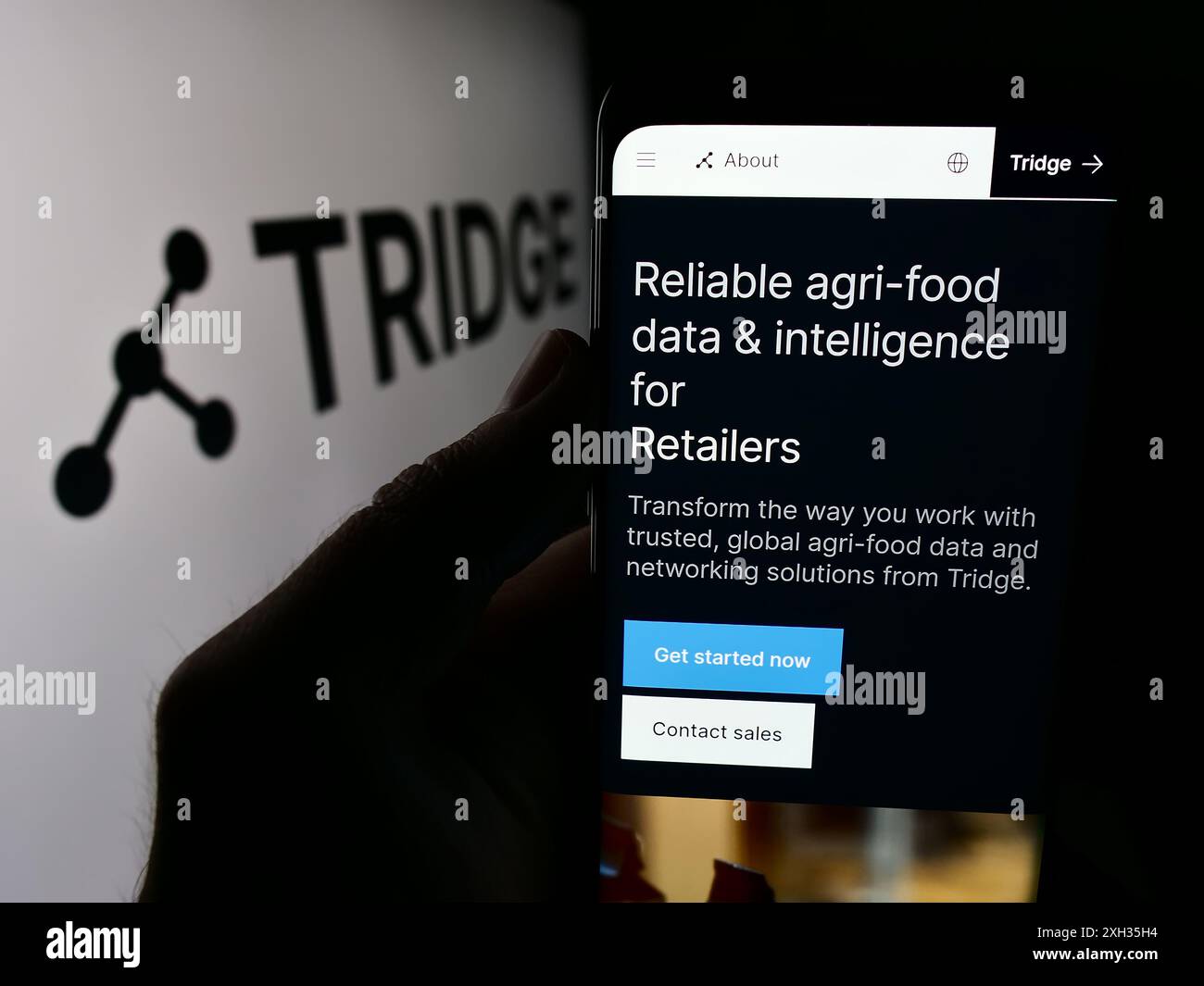 Tridge logo hi-res stock photography and images - Alamy