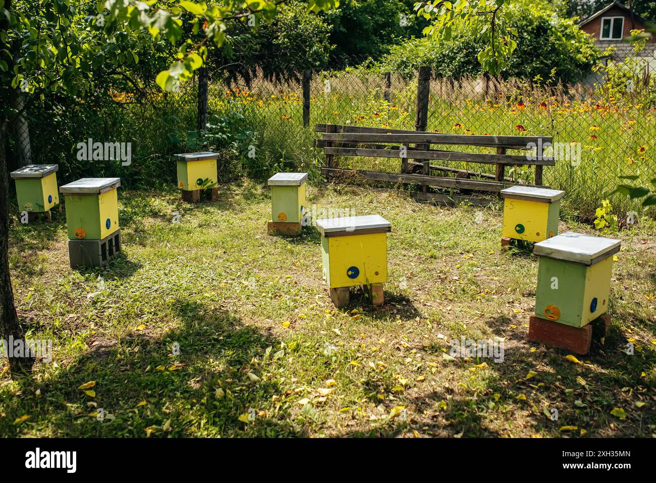 To hive a swarm, to make increase from a colony, make up a nucleus ...