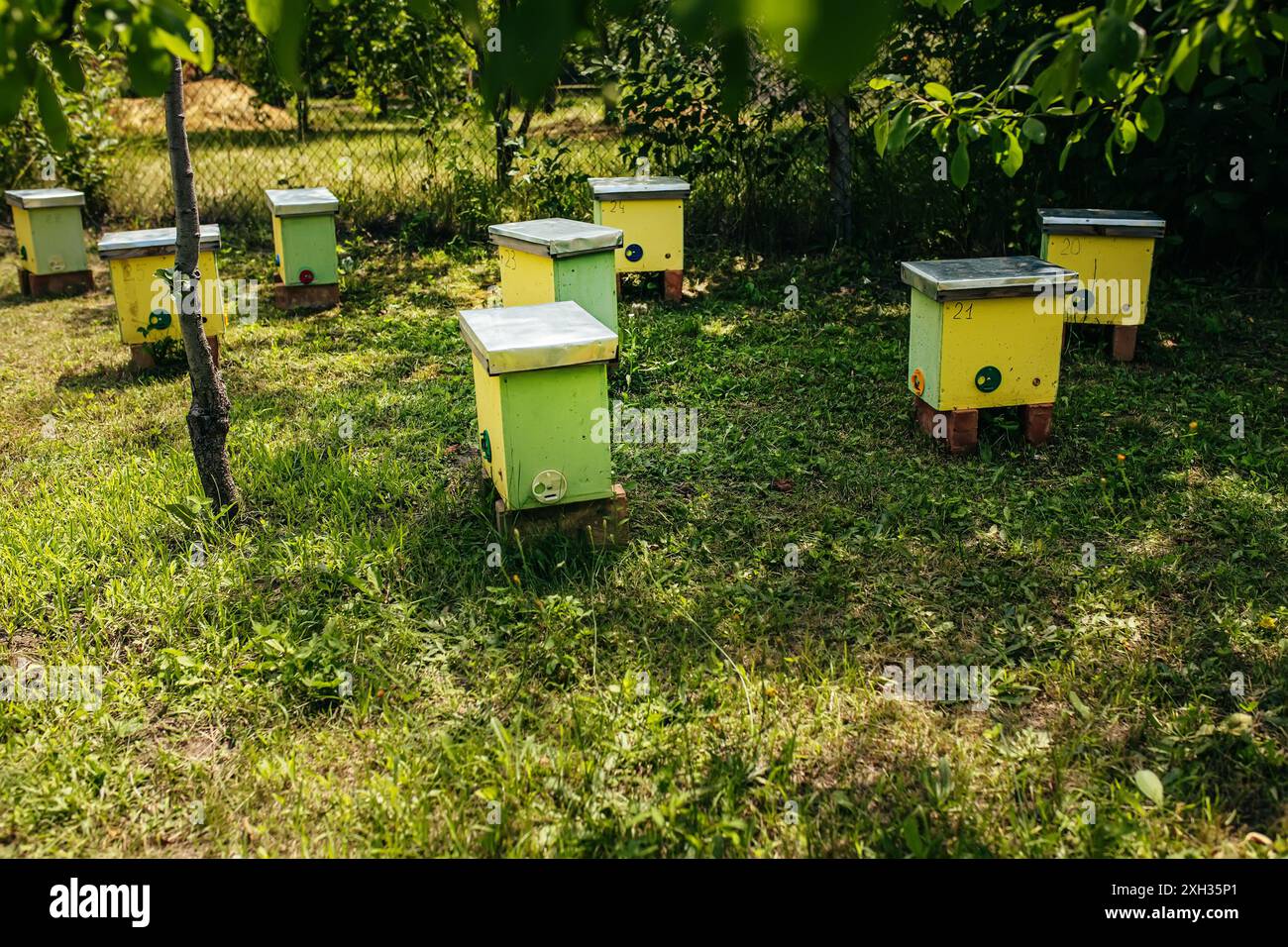 To hive a swarm, to make increase from a colony, make up a nucleus ...