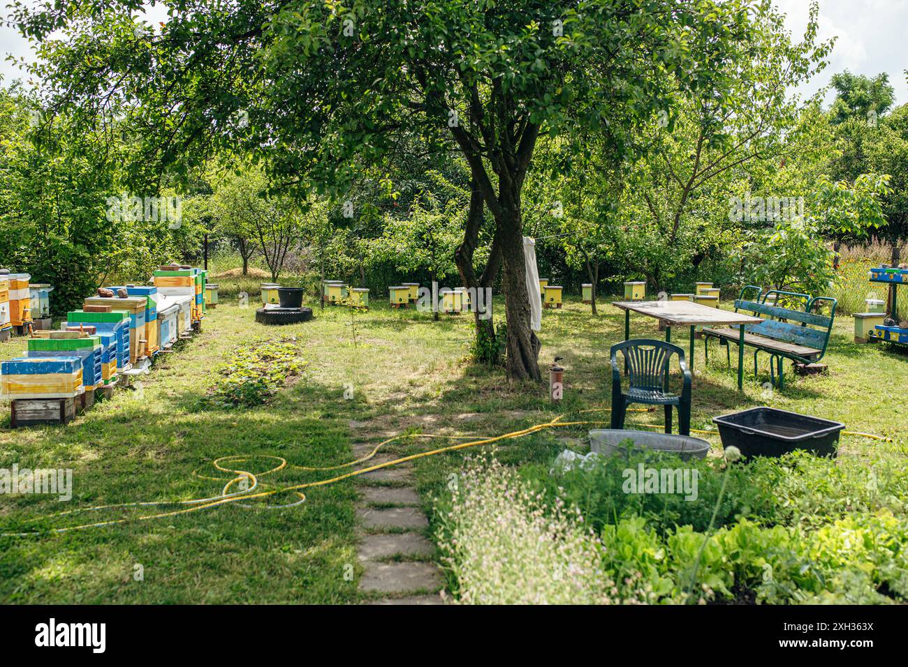 To hive a swarm, to make increase from a colony, make up a nucleus ...