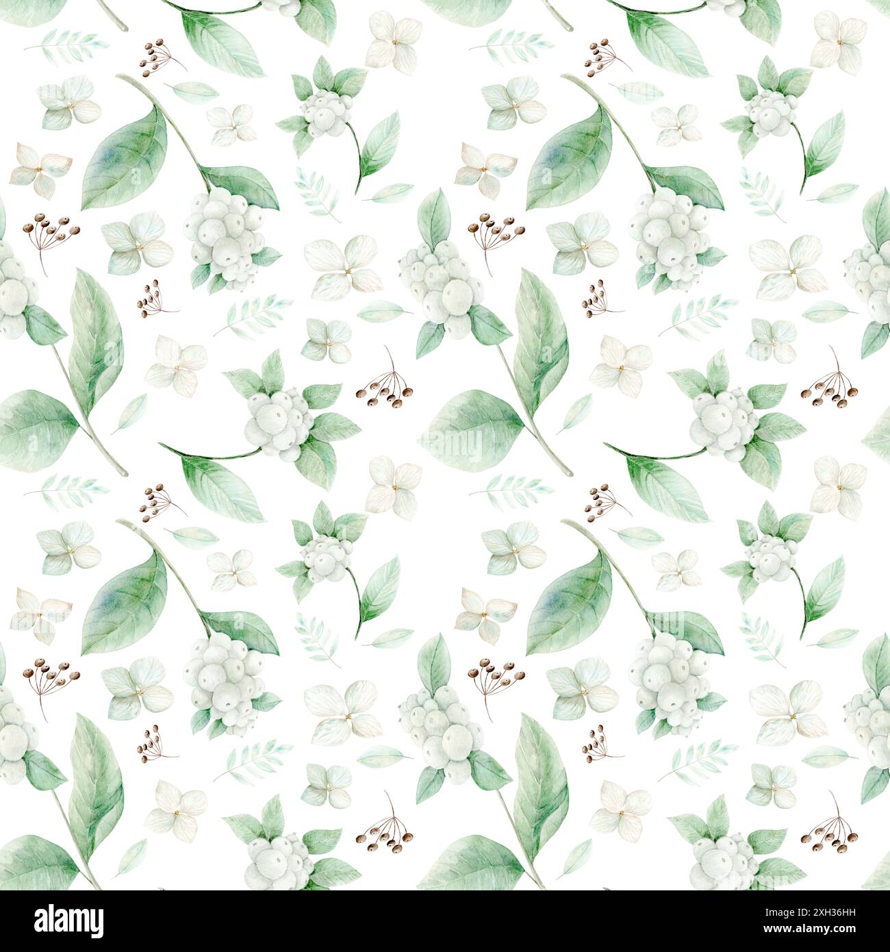 Snowberry and hydrangea flowers on white background. Seamless pattern ...