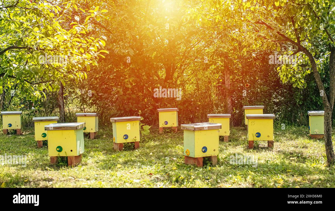 To hive a swarm, to make increase from a colony, make up a nucleus ...