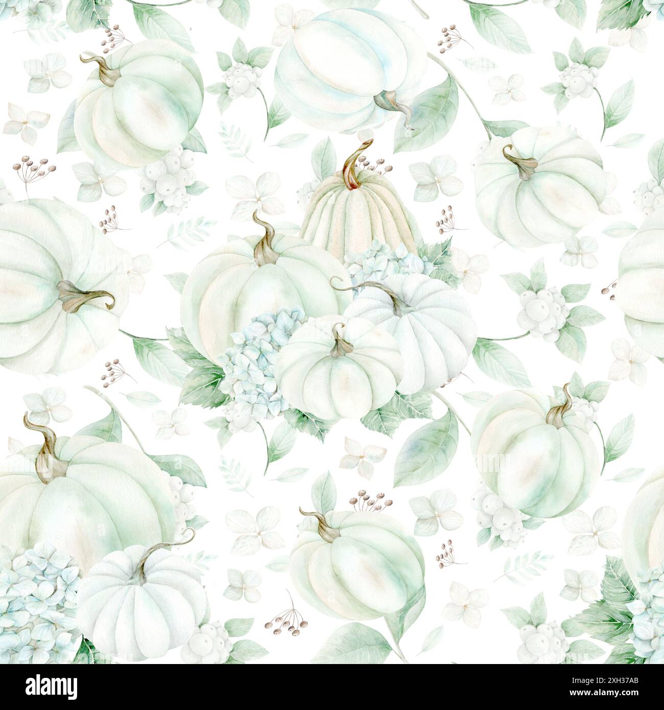 White pumpkins, hydrangea flowers on and snowberry, on white background ...