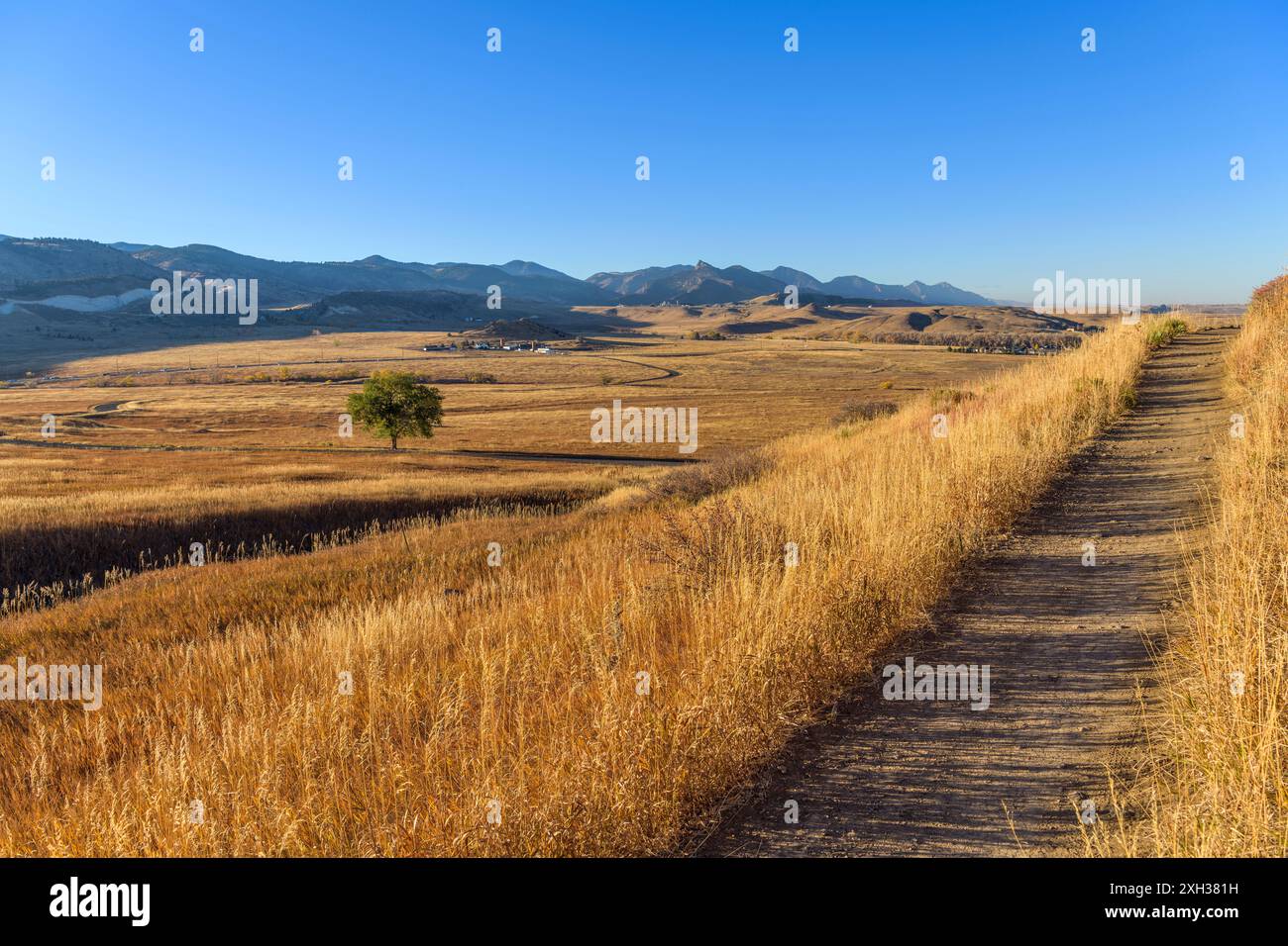 Golden Trail - A golden Autumn evening view of North Table Loop Trail ...