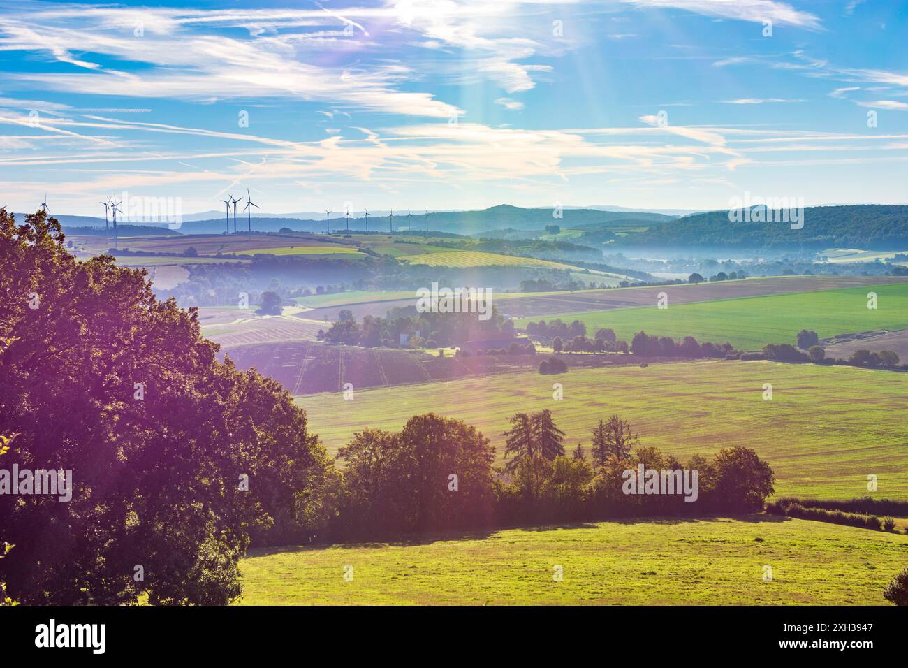 Warburger wald hi-res stock photography and images - Alamy
