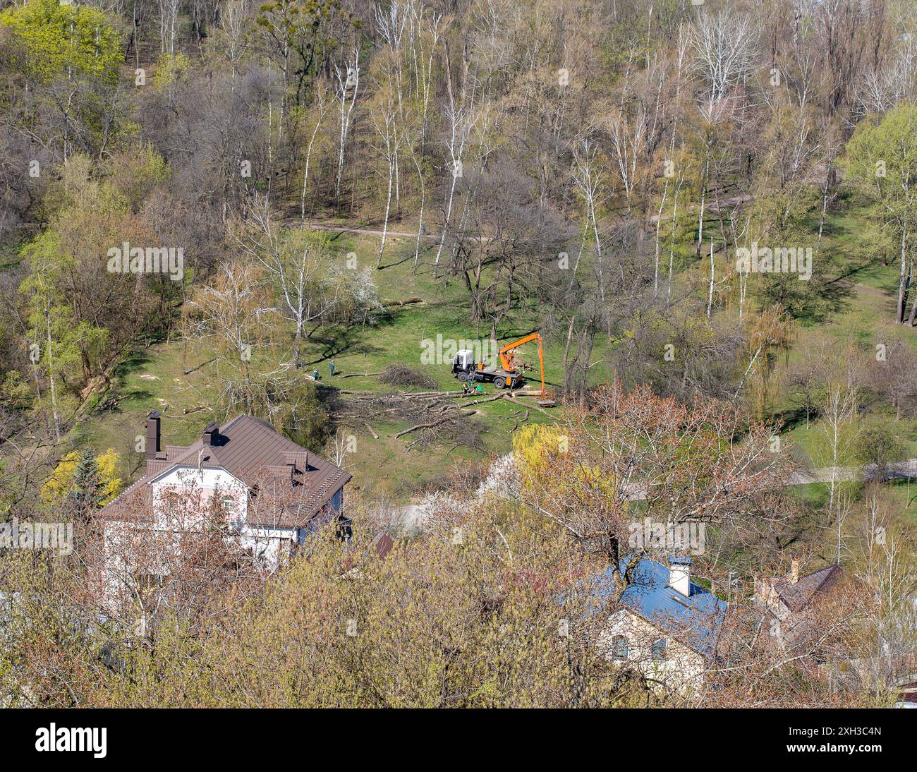 Crane cutting log tree in hi-res stock photography and images - Alamy