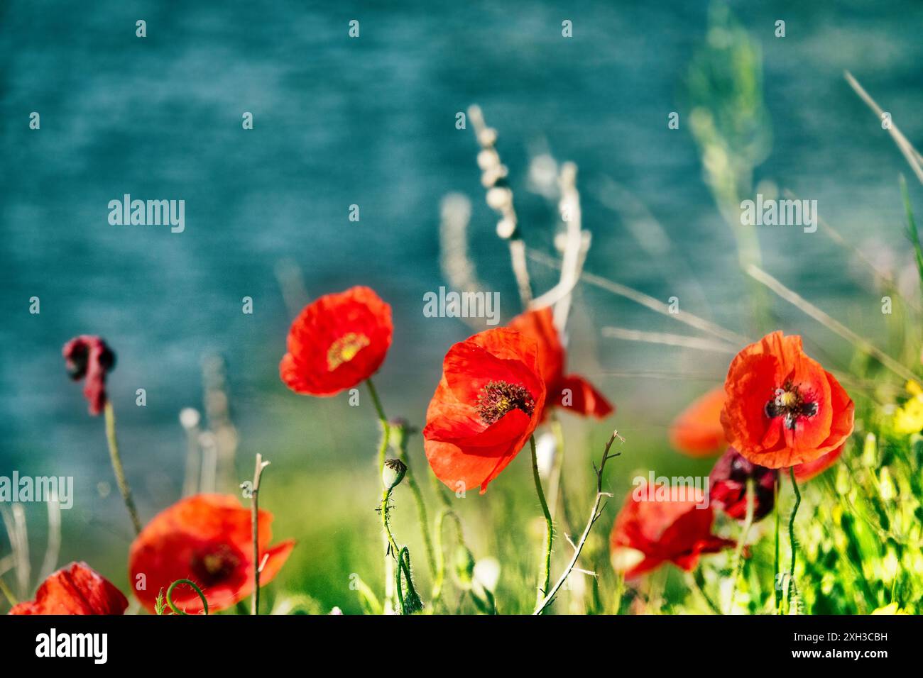 Long fallow lands hi-res stock photography and images - Alamy