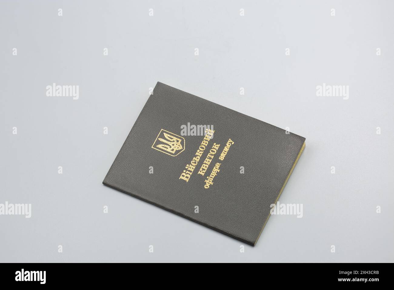 Ukrainian national armed forces hi-res stock photography and images - Alamy