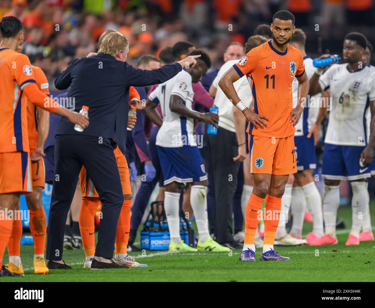 Cody gakpo holland hi-res stock photography and images - Alamy