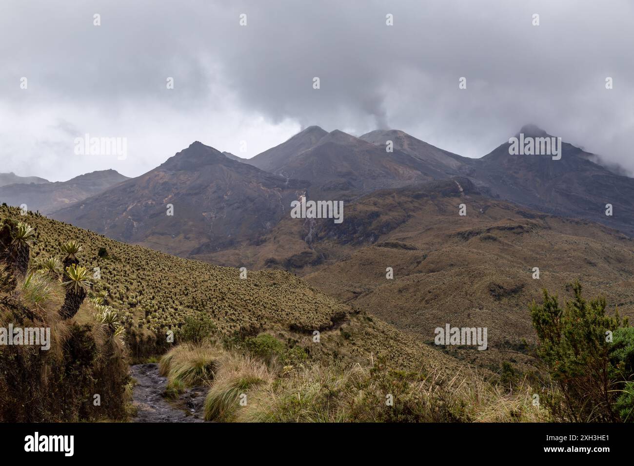 Landscapes of the Cumbal volcano in Colombia border with Ecuador Stock ...