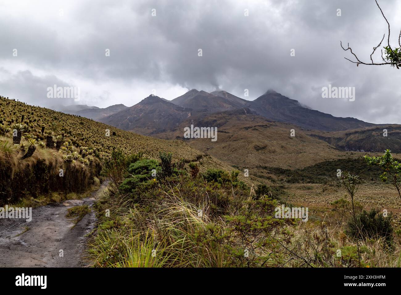 Landscapes of the Cumbal volcano in Colombia border with Ecuador Stock ...