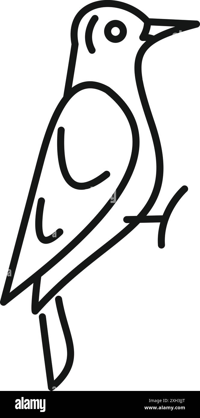 Black and white line drawing of a woodpecker standing on a branch ...
