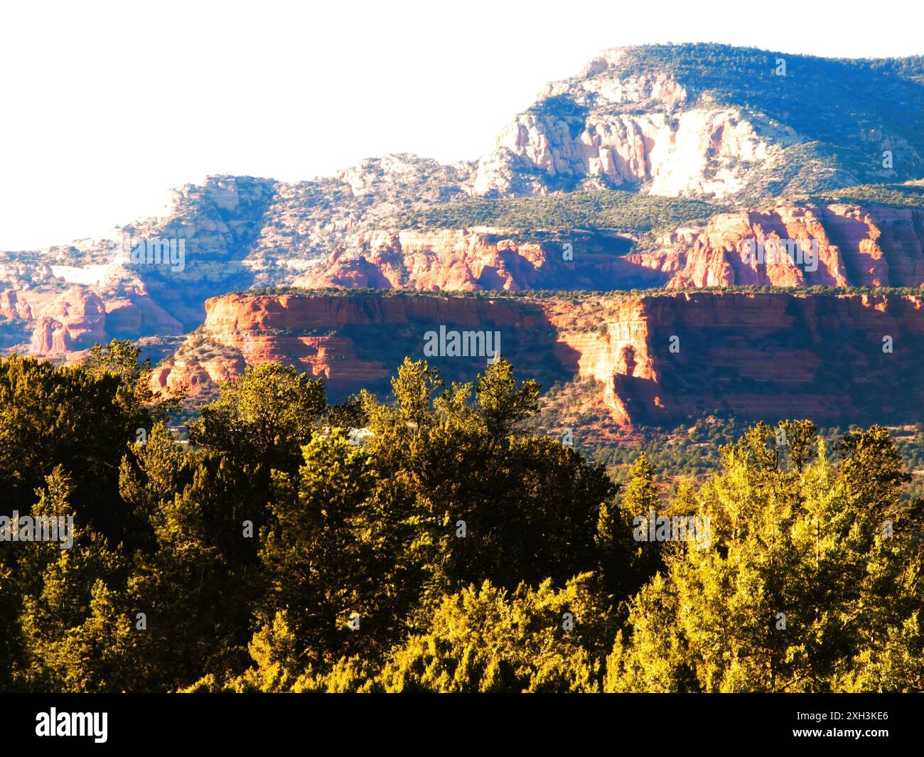 Sedona, Arizona red rocks and trees Stock Photo - Alamy