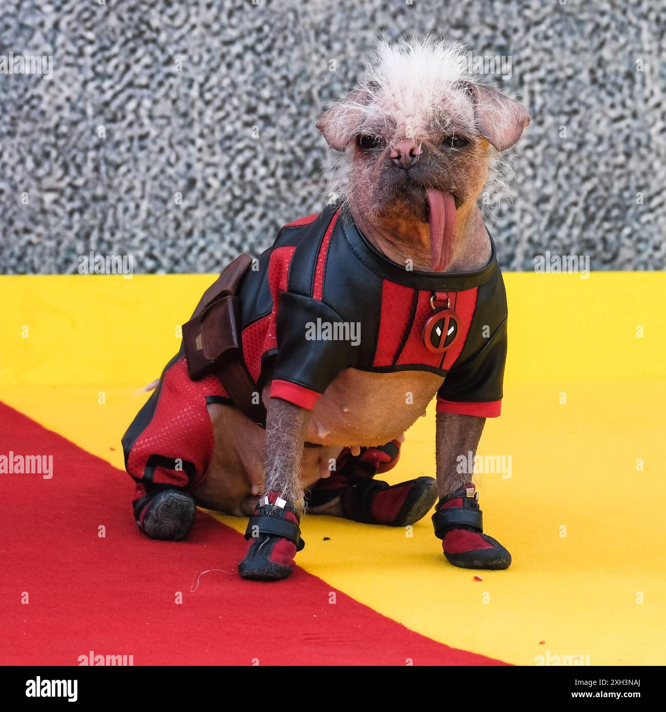 London, UK. 11th July, 2024. Peggy, as Dogpool seen at the DEADPOOL ...