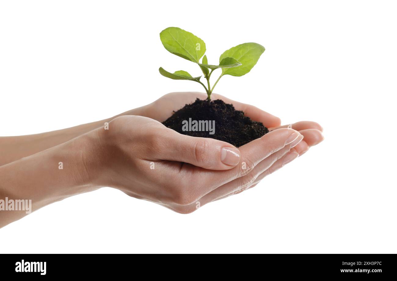 Environmental protection. Woman holding seedling with pile of soil on ...