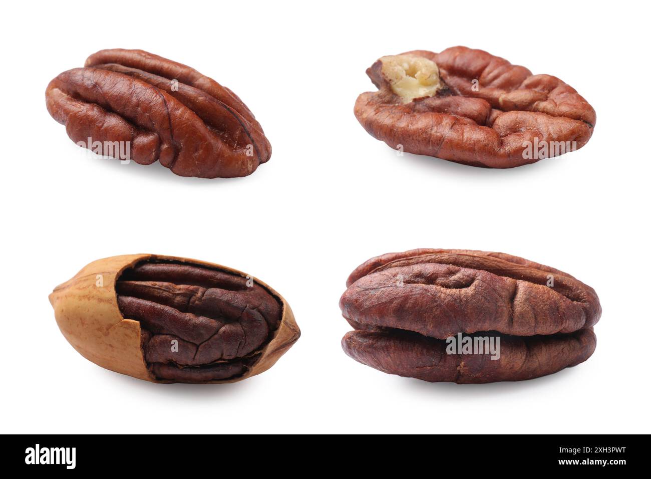 Many pecan nuts isolated on white, set Stock Photo - Alamy