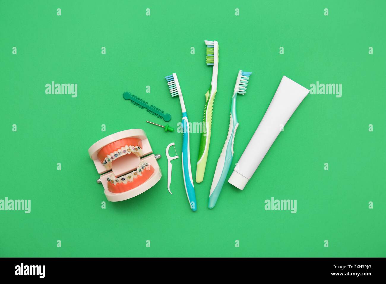 Jaw model with toothbrushes, toothpaste and floss toothpick on green ...