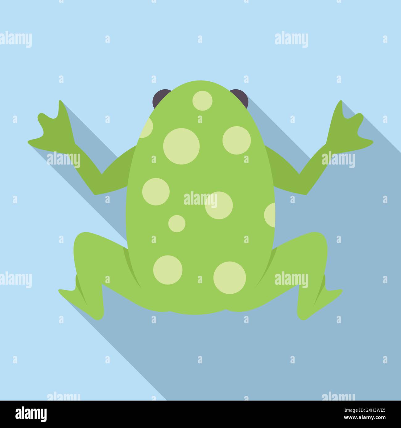 Green tree frog relaxing with its legs spread out on a blue background ...