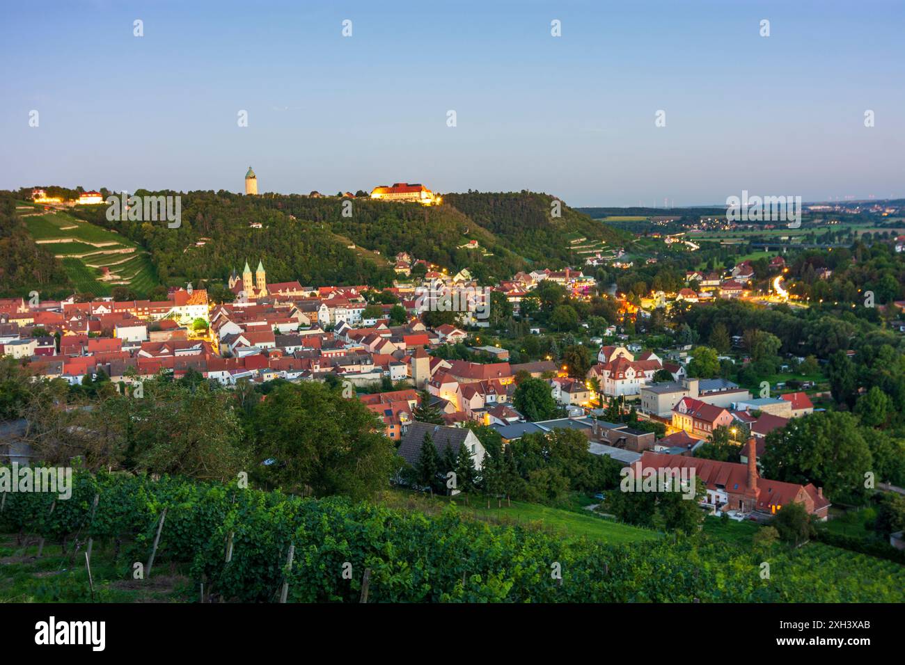 Freyburg (Unstrut): Schloss Neuenburg Castle, vineyard, Old Town in ...