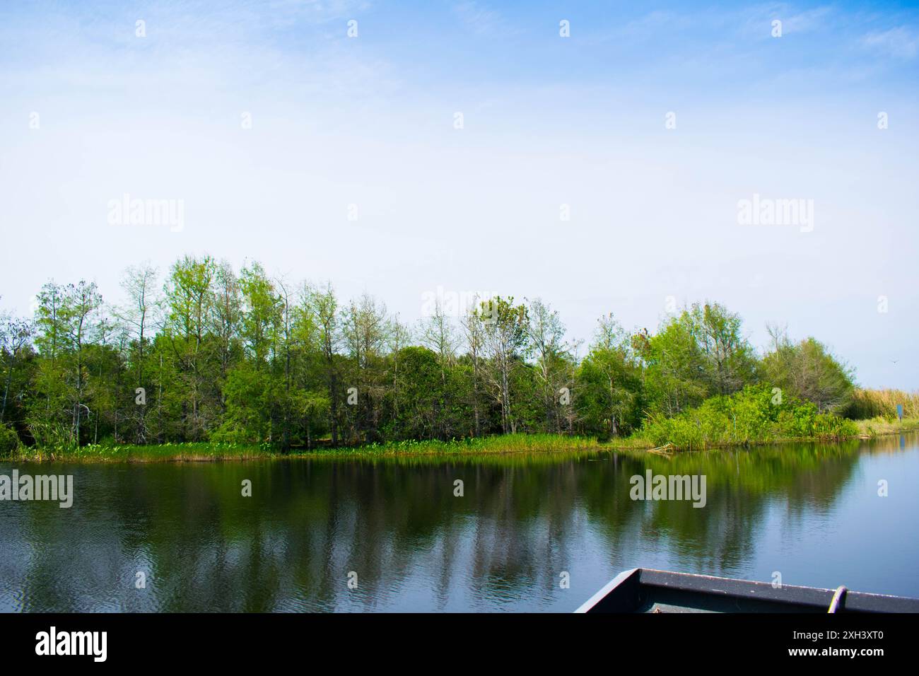 One of six man-made tree islands on Lake Okeechobee that was created ...