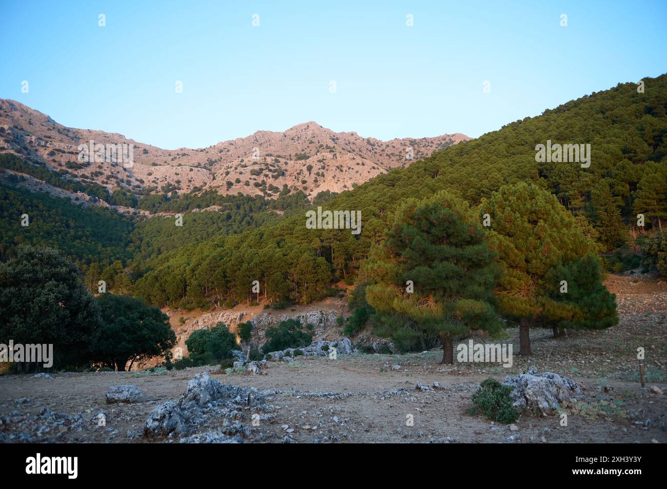 Habitual terrain hi-res stock photography and images - Alamy