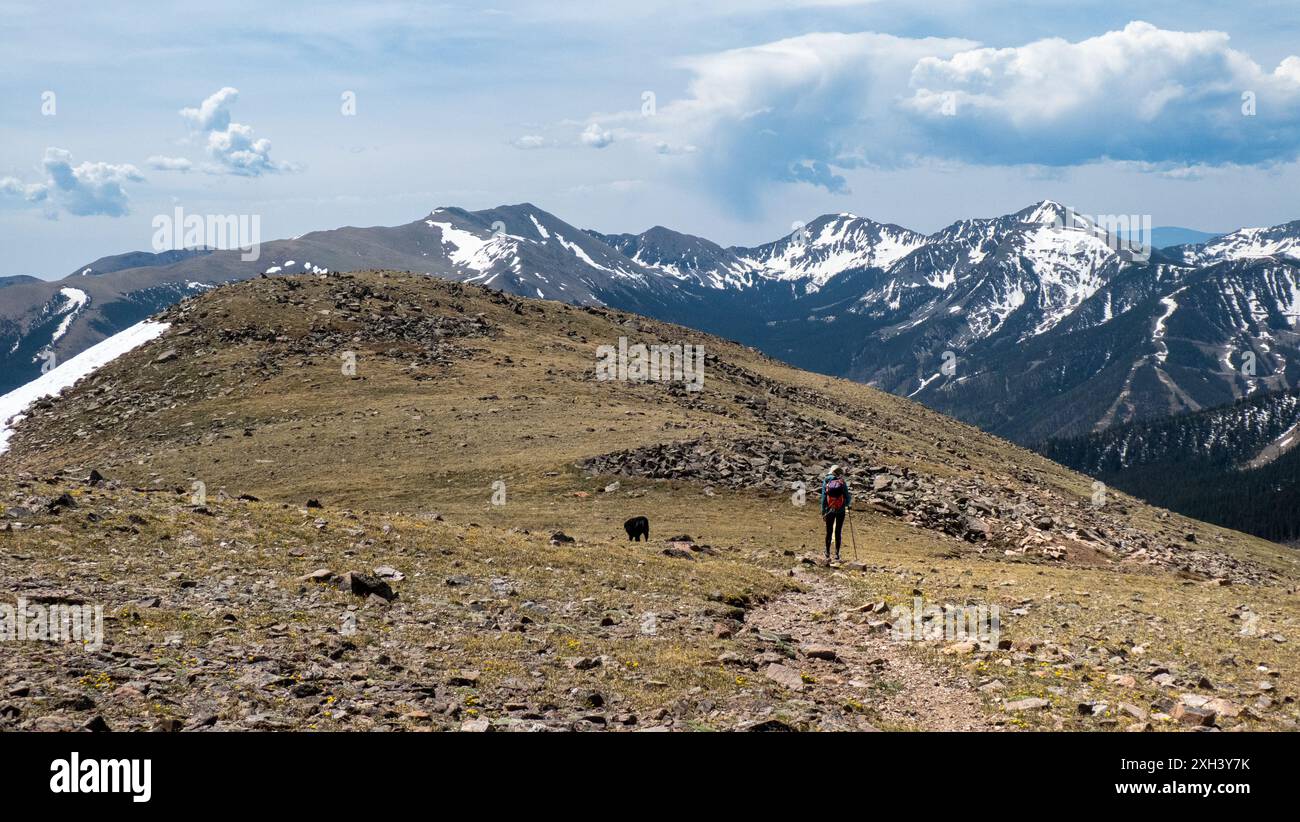 Adult single woman hiking with her black lab on Gold Hill mountain in ...