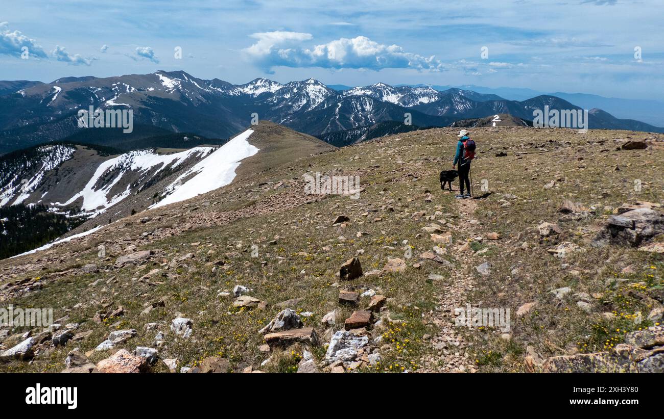Adult single woman hiking with her black lab on Gold Hill mountain in ...