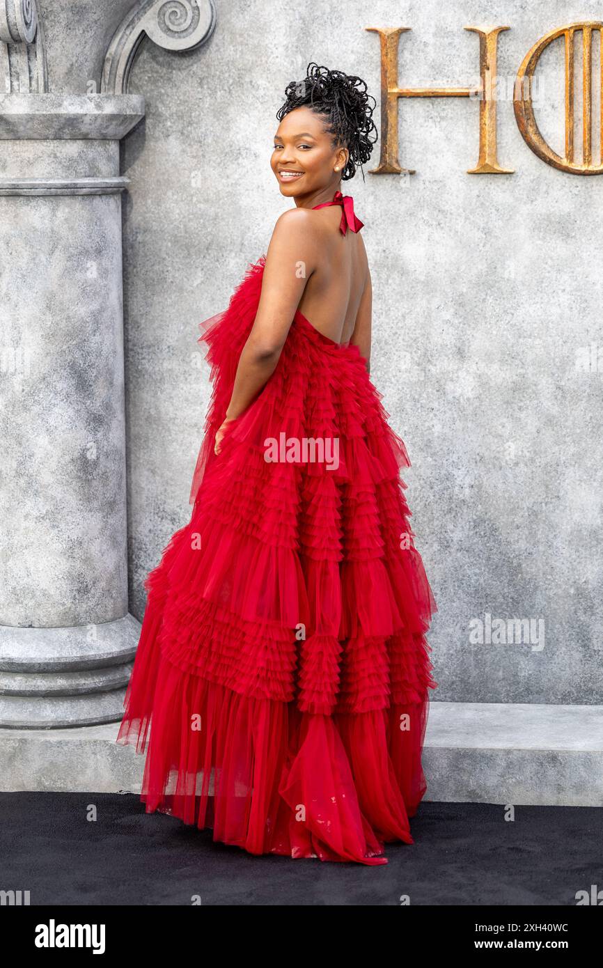 Celebs and Cast attend the House of the Dragon Season 2 TV Series ...