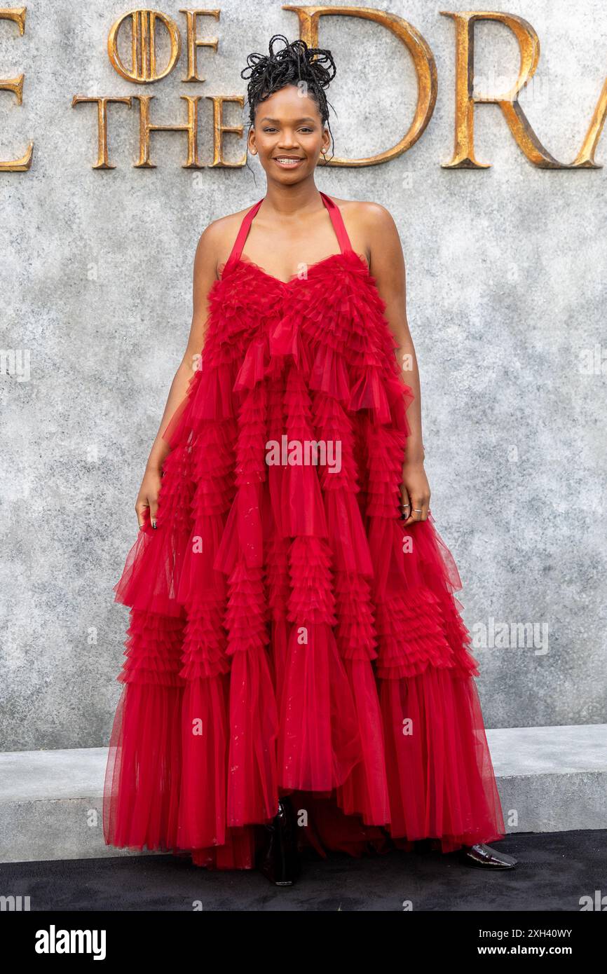 Celebs and Cast attend the House of the Dragon Season 2 TV Series ...