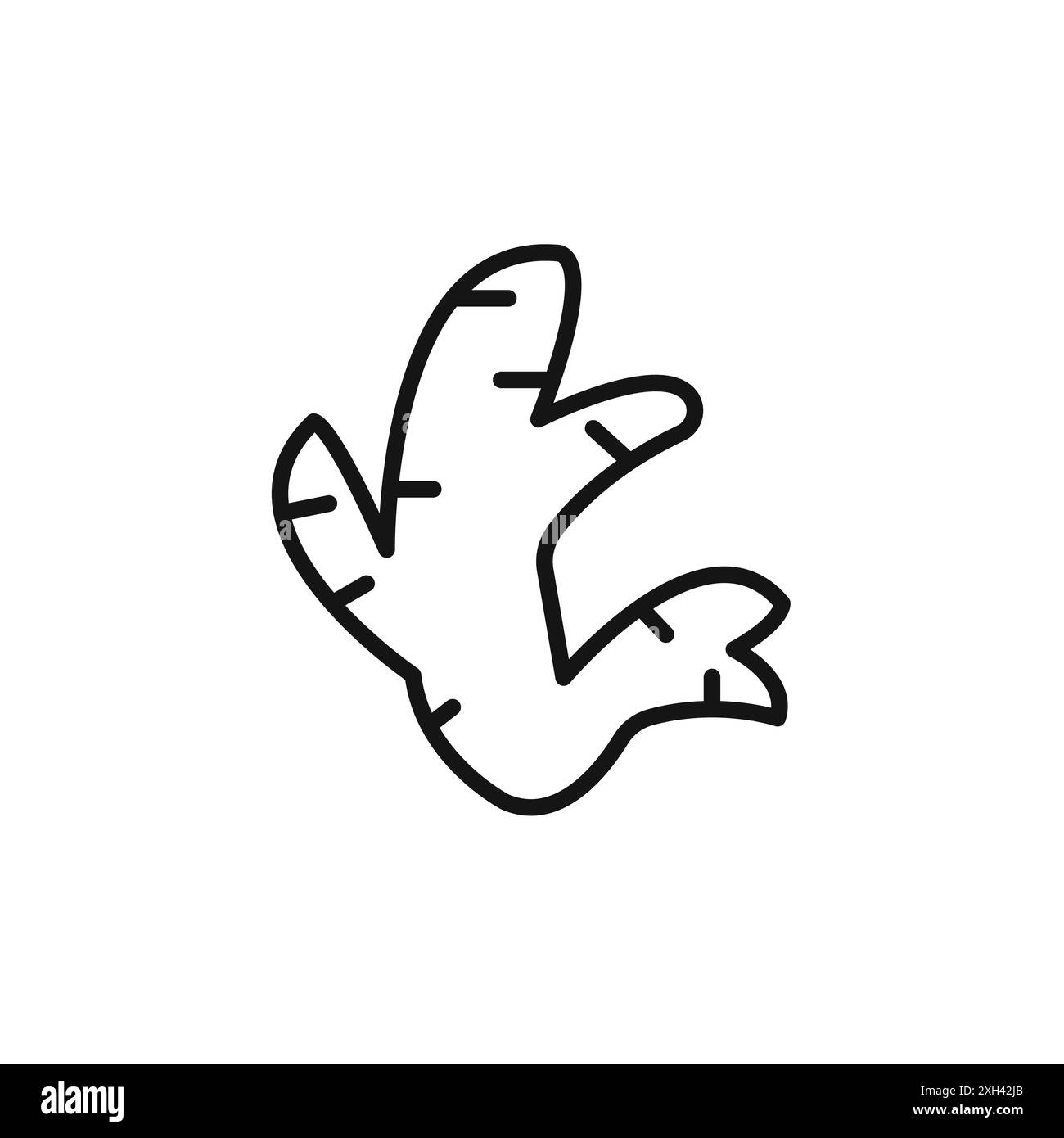 Ginger icon logo sign vector outline in black and white color Stock ...