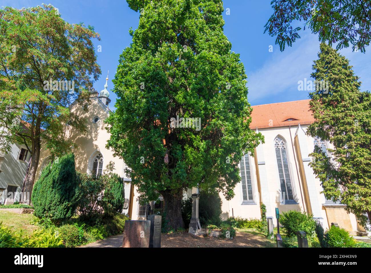 Meißen: church St. Afra in , Sachsen, Saxony, Germany Stock Photo - Alamy