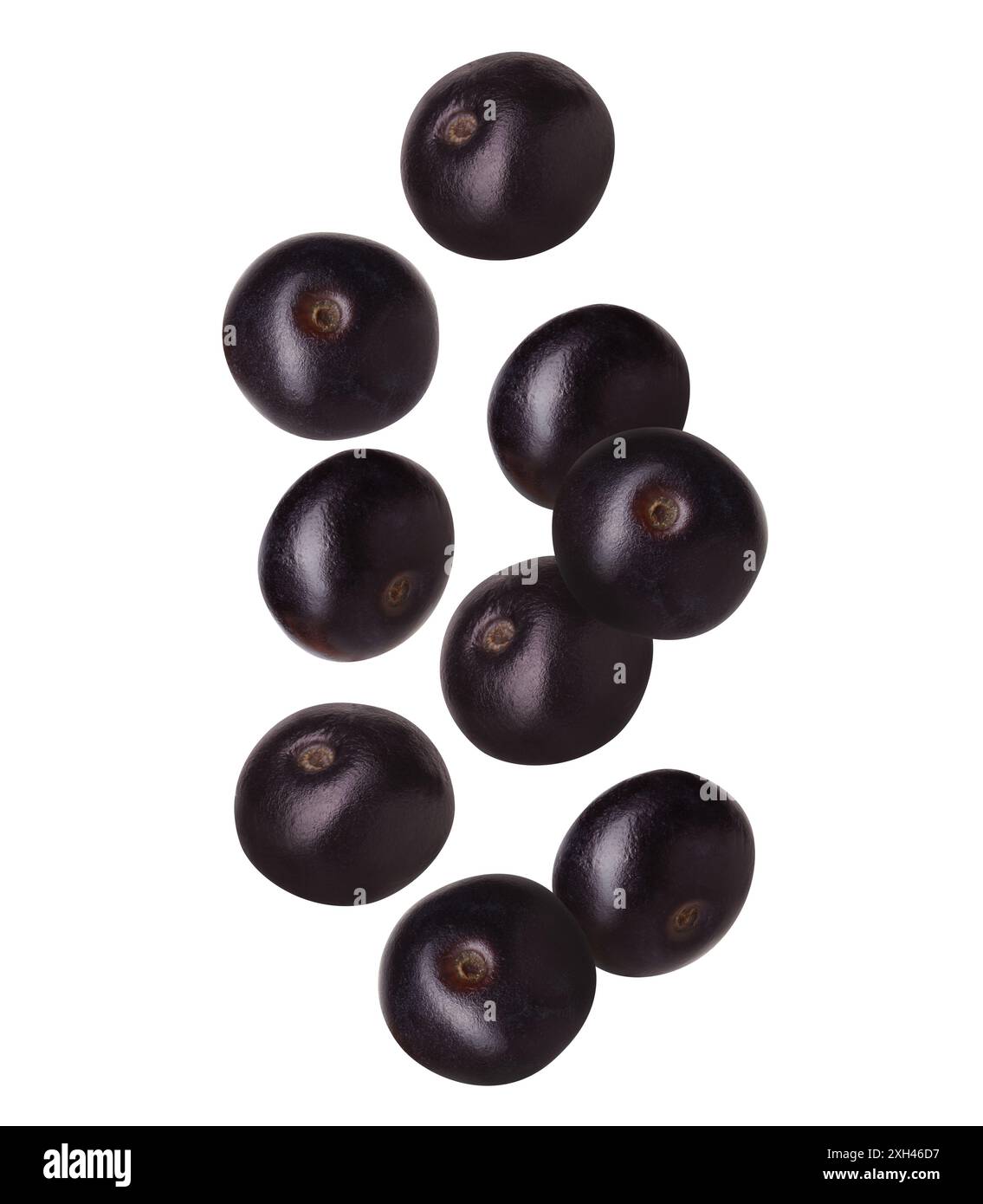 Many acai berries falling on white background Stock Photo - Alamy