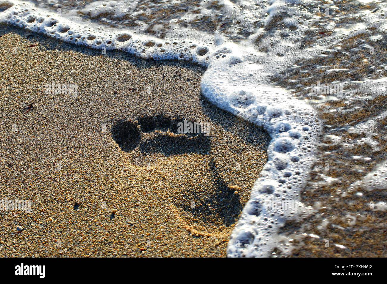 Footprint in the sand before its washed away by the surf Stock Photo ...