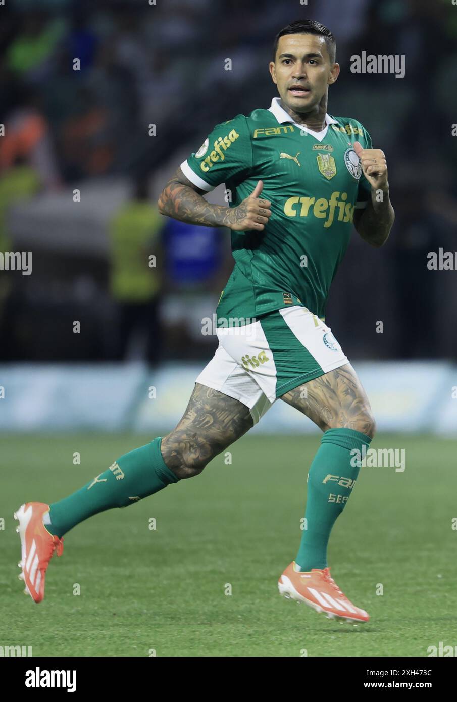 Sao Paulo, Brazil. 11th July, 2024. SP - SAO PAULO - 07/11/2024 - BRAZILIAN A 2024, PALMEIRAS x ...